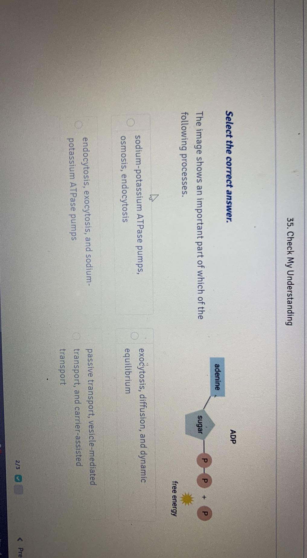 35. Check My Understanding Select the correct answer. The image shows an important part of which ...