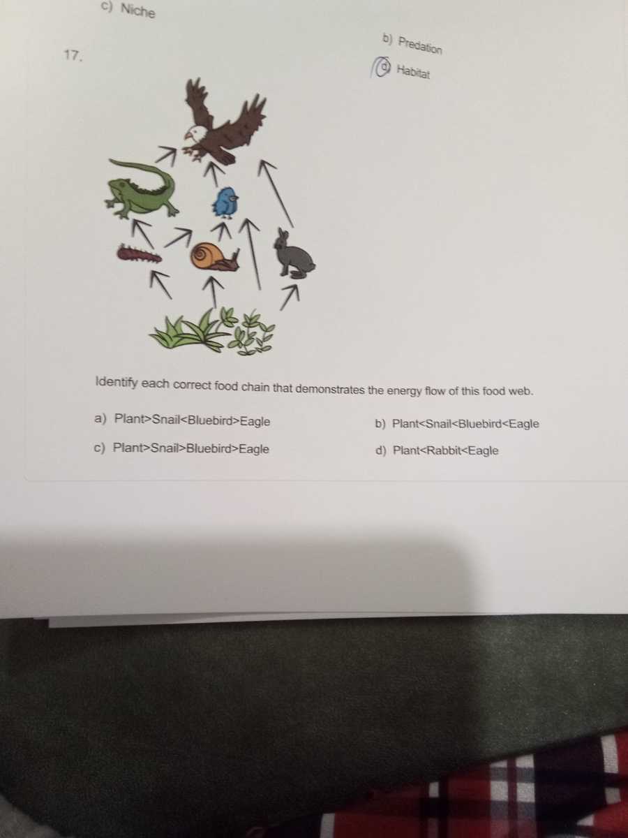 c) Niche b) Predation 17. (c) Habitat Identify each correct food chain ...