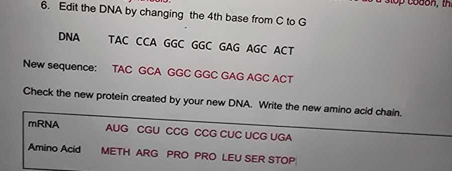 6. Edit the DNA by changing the 4 th base from C to G DNA TAC CCA GGC ...
