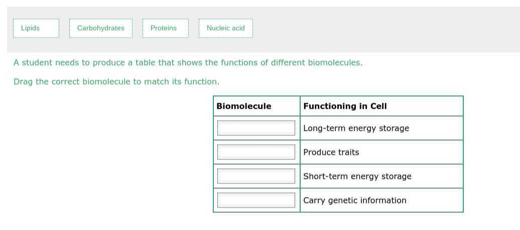 Lipids Carbohydrates Proteins Nucleic acid A student needs to produce a ...