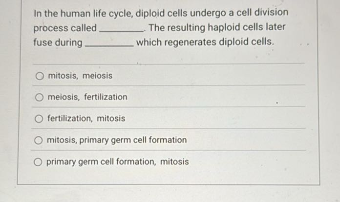 In the human life cycle, diploid cells undergo a cell division process ...