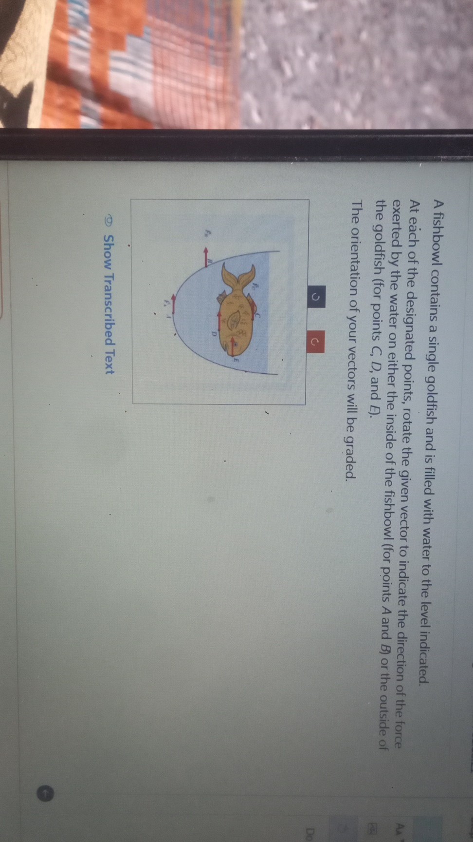 A fishbowl contains a single goldfish and is filled with water to the ...