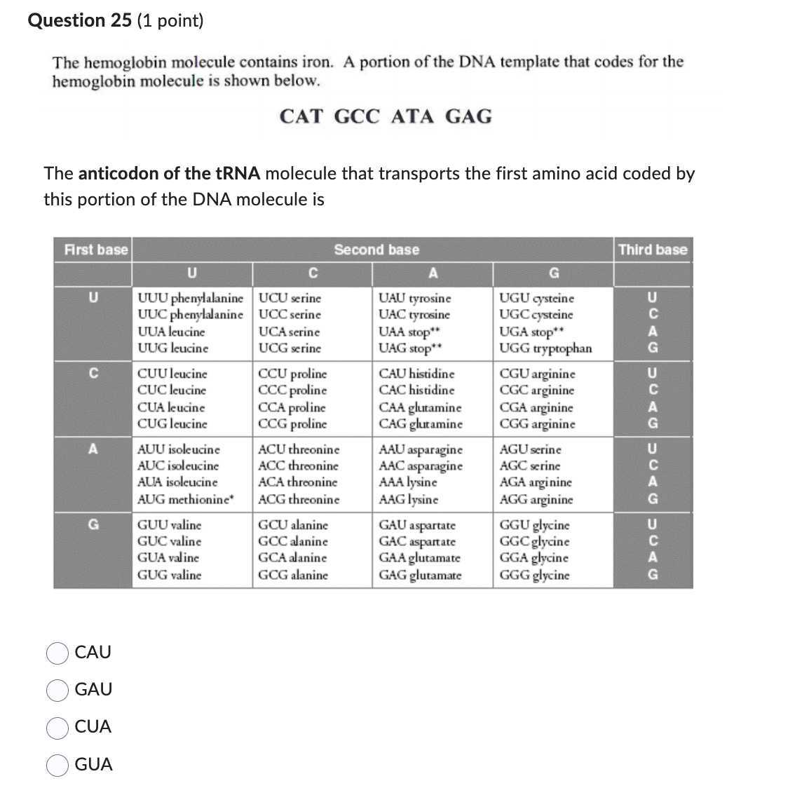 Question 25 (1 point) The hemoglobin molecule contains iron. A portion of the DNA template that ...