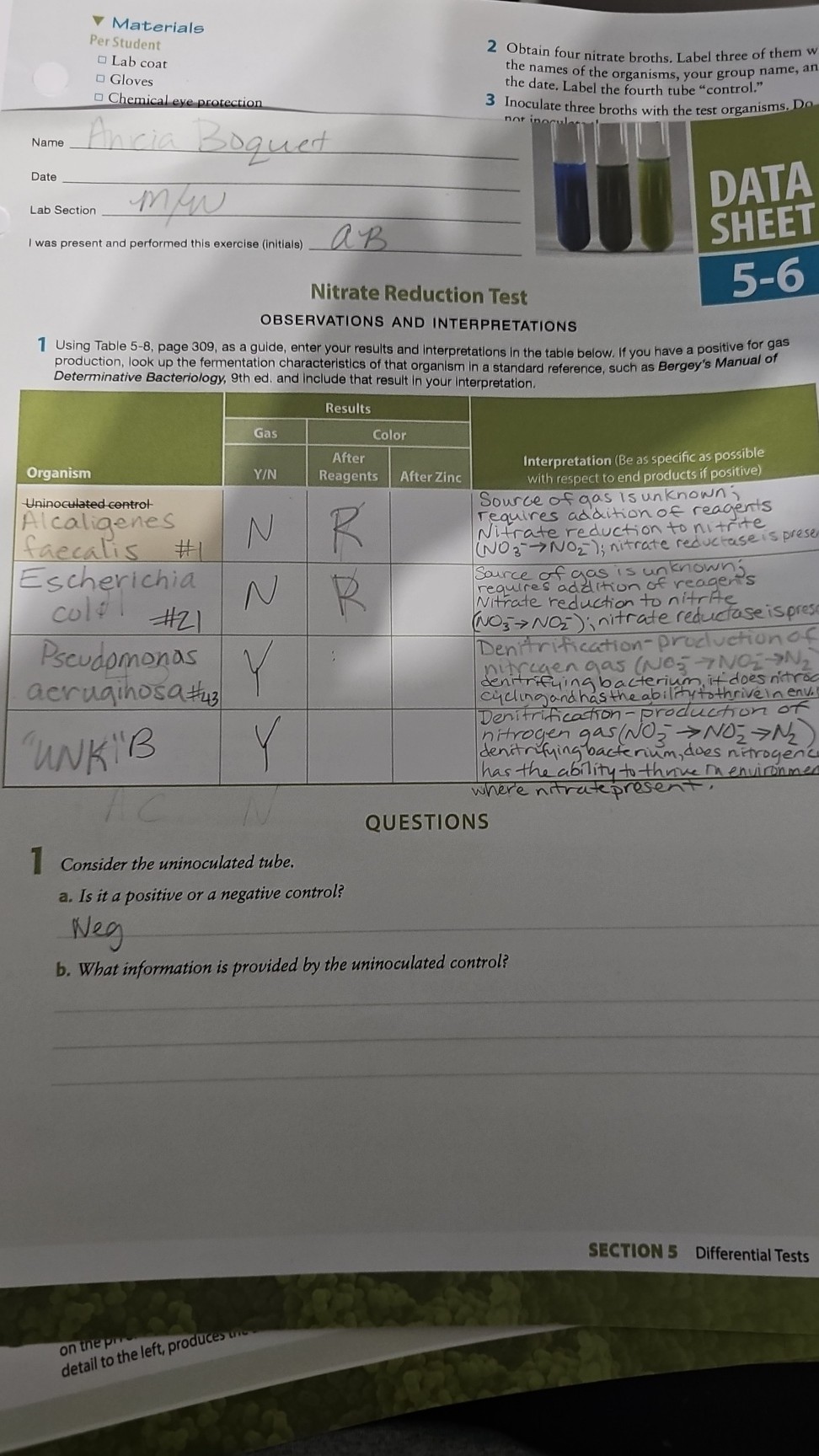 1 Consider the uninoculated tube. a. Is it a positive or a negative ...