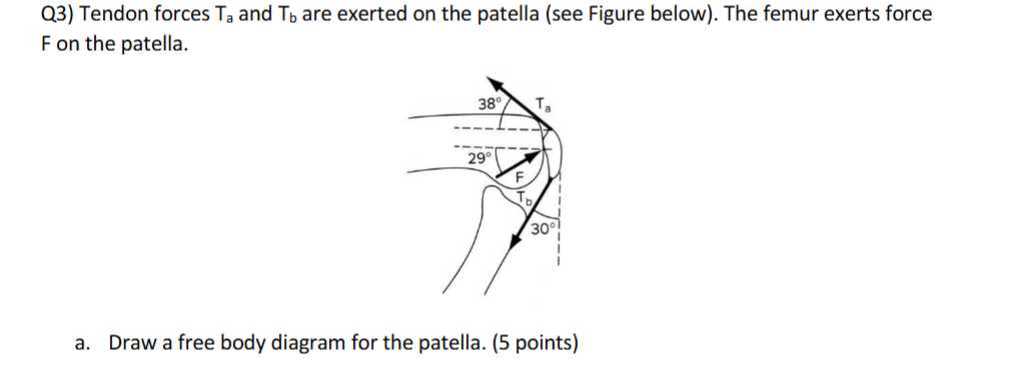Q3) Tendon forces Ta and Tb are exerted on the patella (see Figure ...