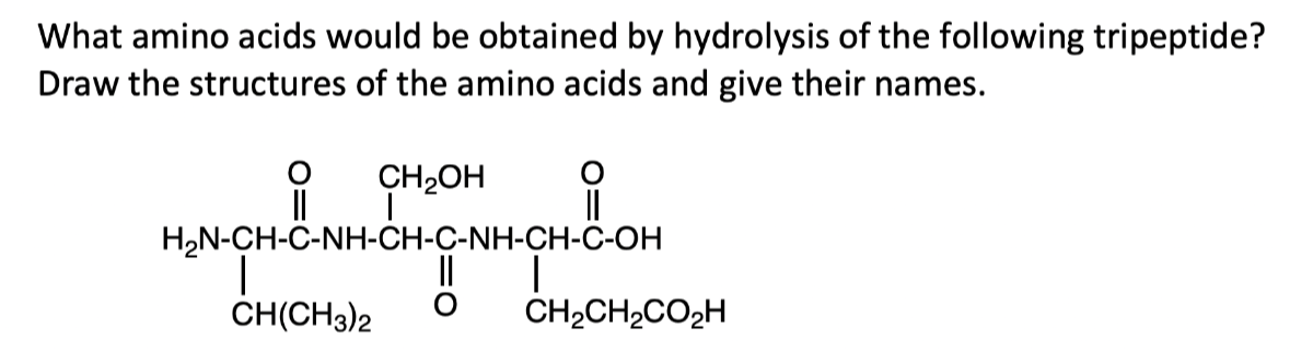 what amino acids would be obtained by hydrolysis of the following ...