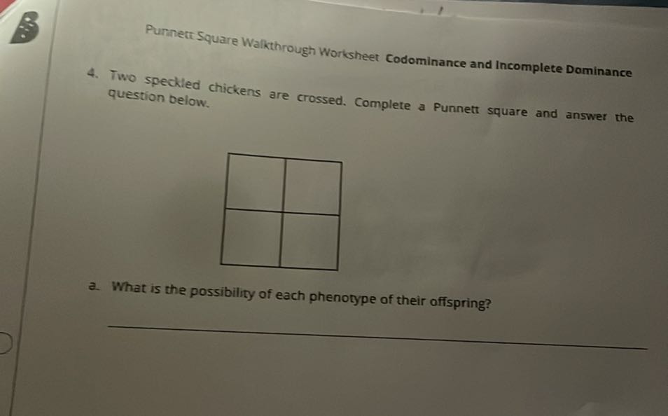 Punnett Square Walkthrough Worksheet Codominance and Incomplete ...