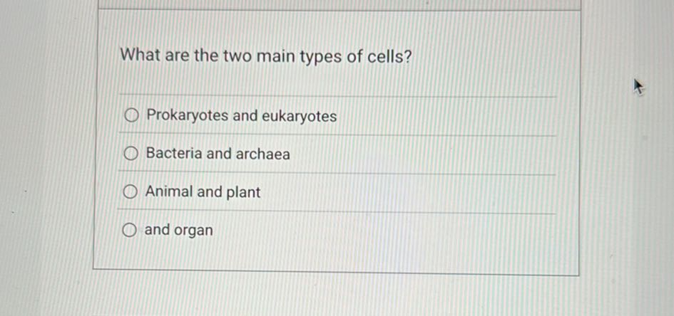 What are the two main types of cells? Prokaryotes and eukaryotes ...