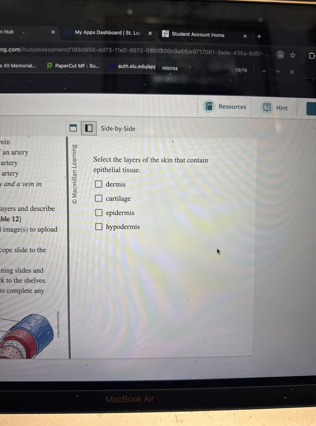 n Hub My Apps Dashboard / St. Lou Student Account Home ng.com/ihub ...