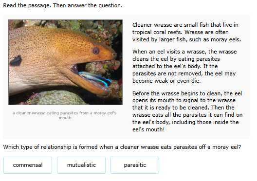 Read the passage. Then answer the question. a sleaner wrasse eading ...