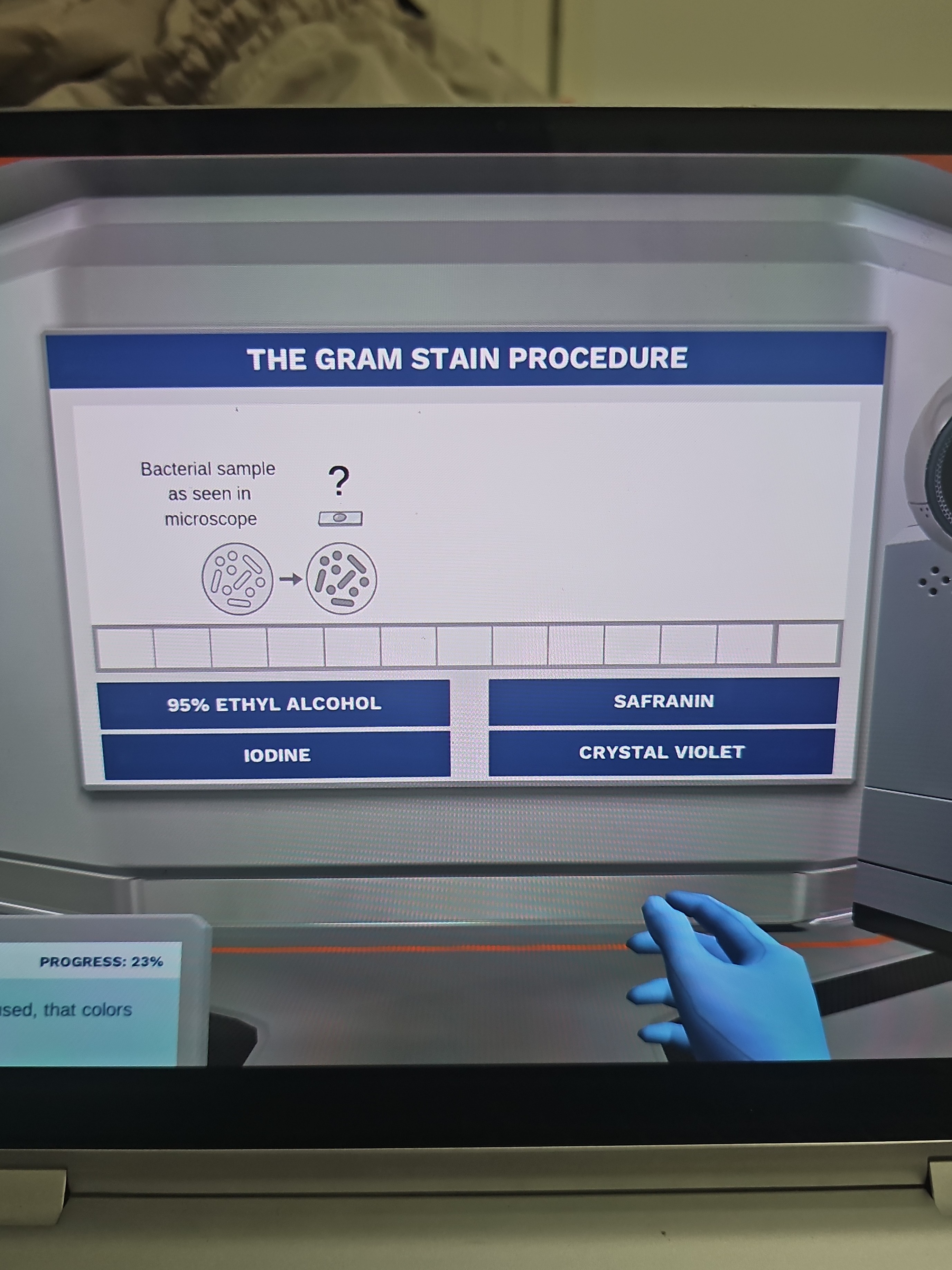 THE GRAM STAIN PROCEDURE Bacterial sample as seen in microscope ? 0 95% ...