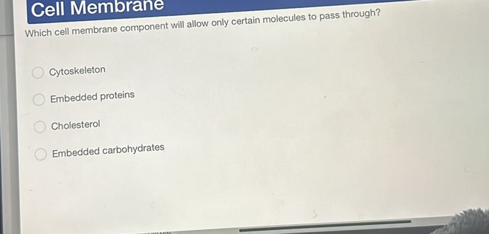 cell membrane which cell membrane component will allow only certain ... cell membrane which cell membrane component will allow only certain ...