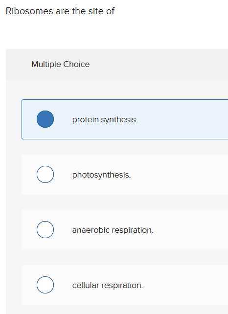 ribosomes are the site of multiple choice protein synthesis ...