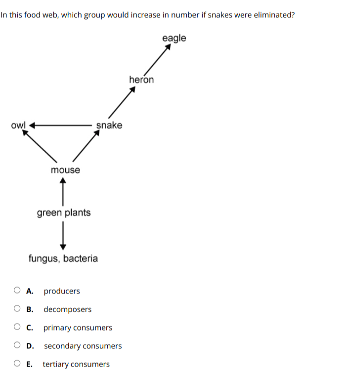 In this food web, which group would increase in number if...