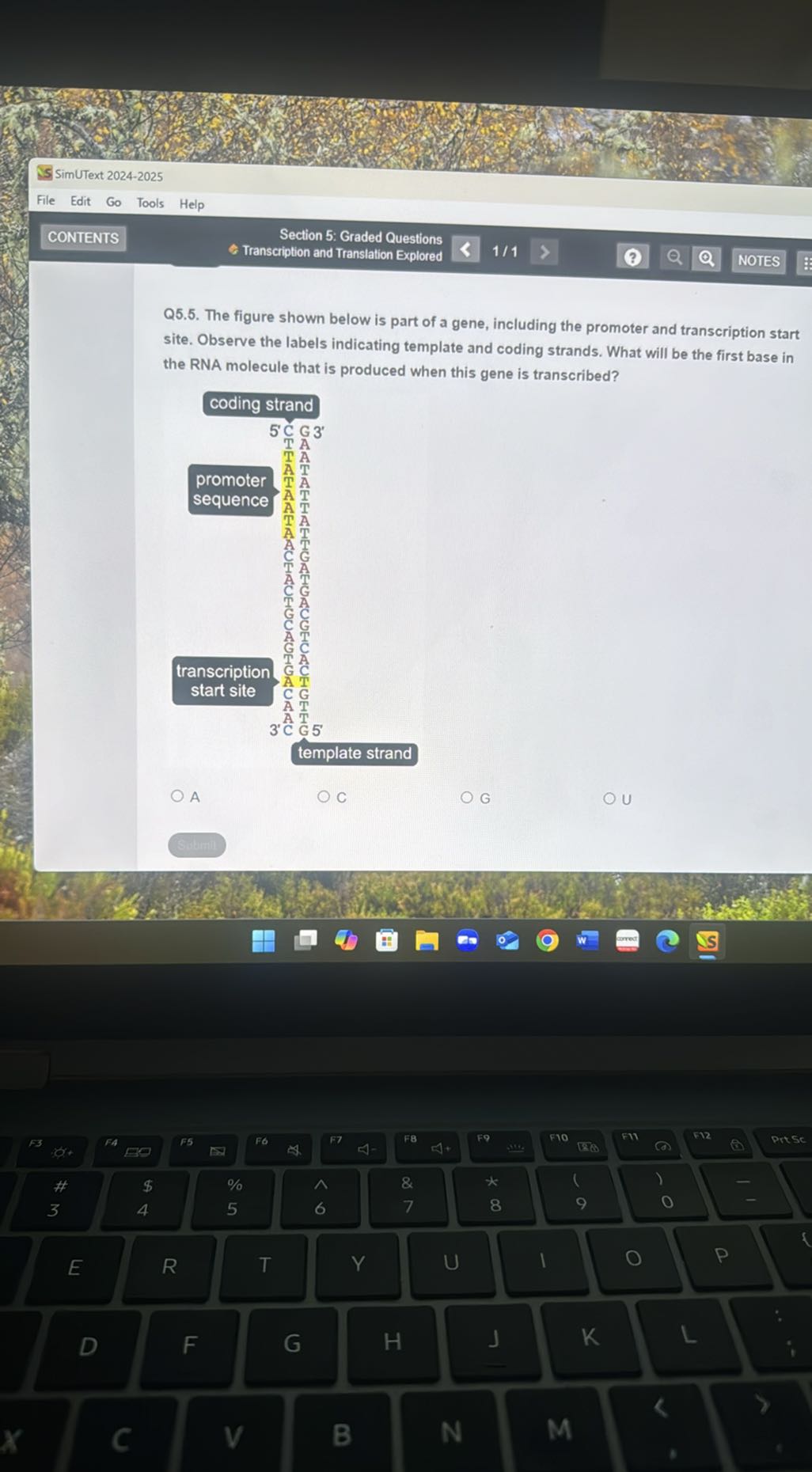 SimUText 2024-2025 File Edit Go Tools Help CONTENTS Section 5: Graded ...