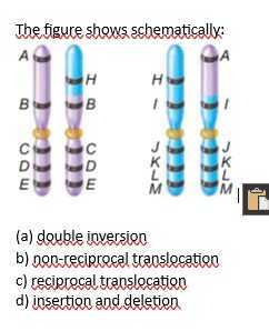The figure shows schematically: (a) double inversion b) non-reciprocal ...