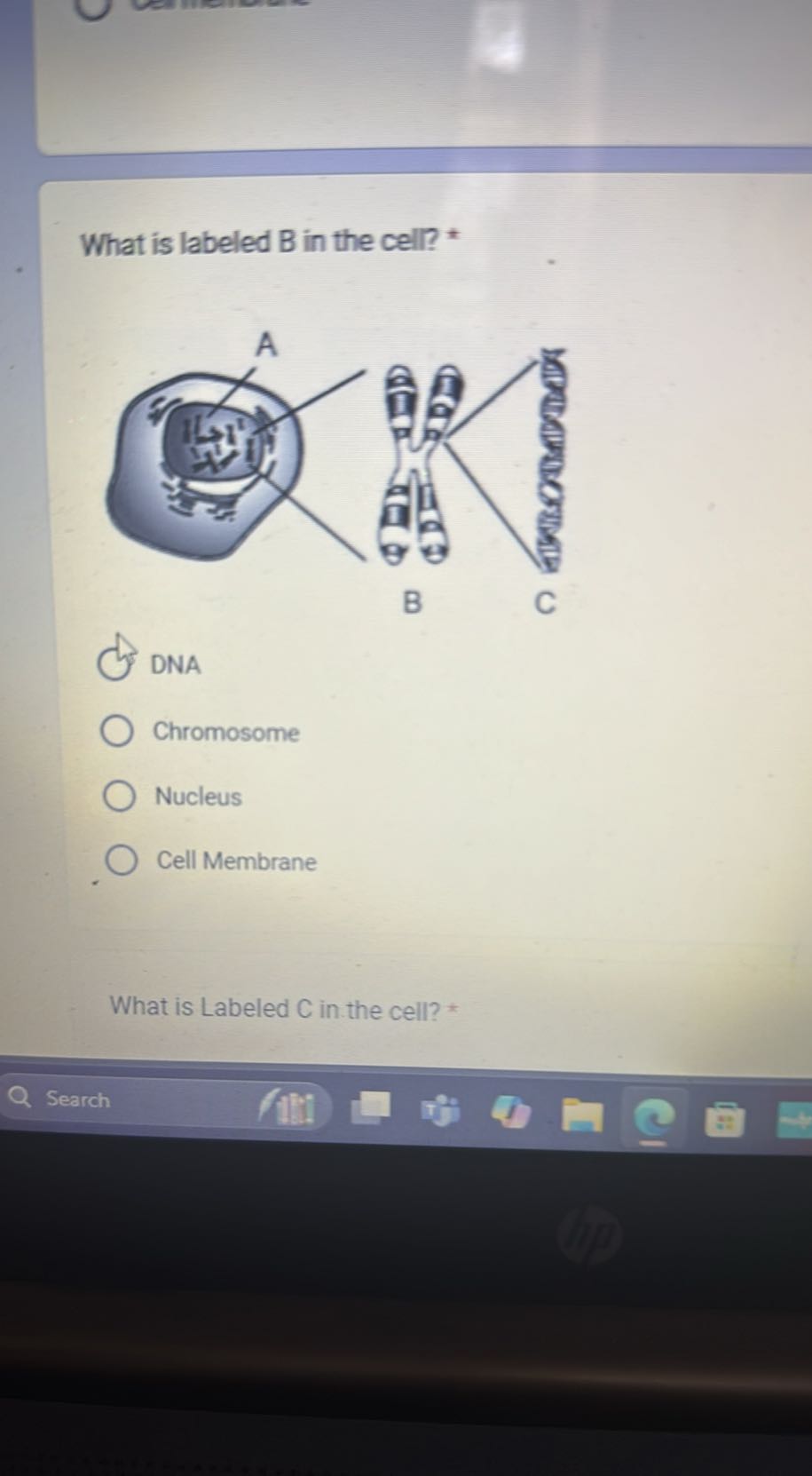 What is labeled B in the cell? * DNA Chromosome Nucleus Cell Membrane ...