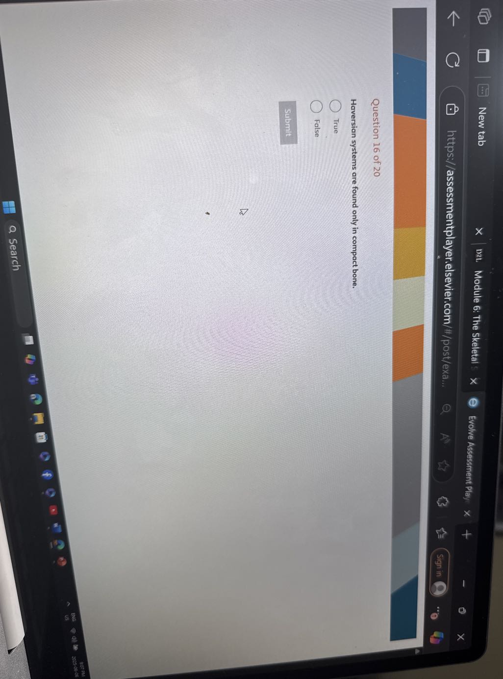 New tab D2L Module 6: The Skeletal : Evolve Assessment Play https ...
