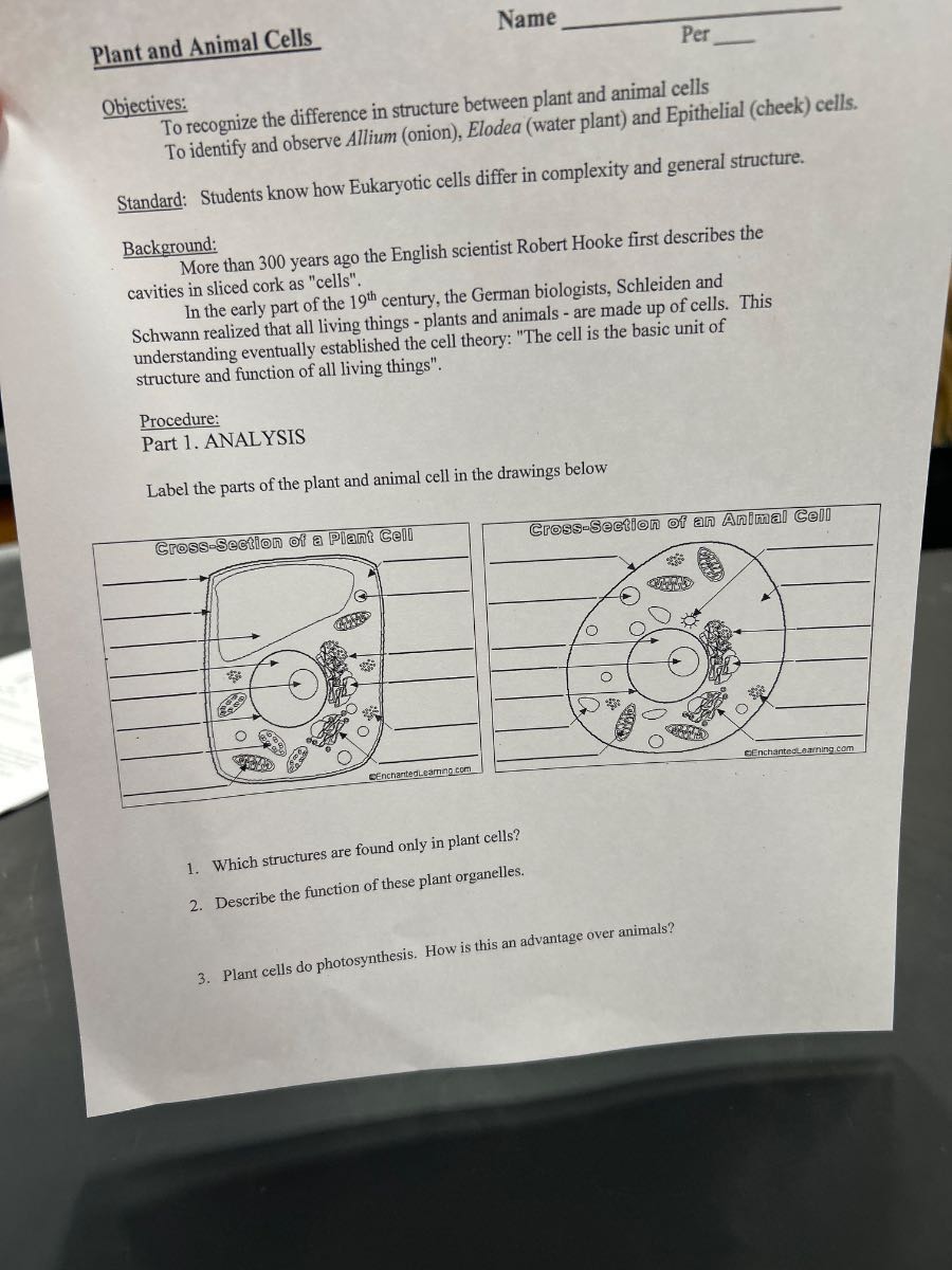 Plant and Animal Cells Name Per Objectives: To recognize the difference ...