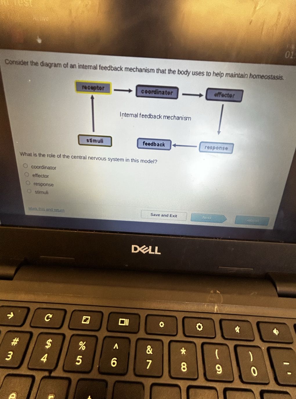 Consider the diagram of an internal feedback mechanism that the body ...