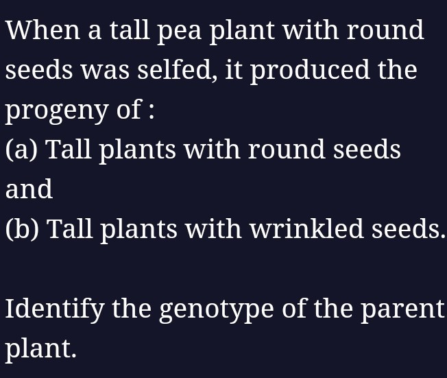 When a tall pea plant with round seeds was selfed, it produced the ...