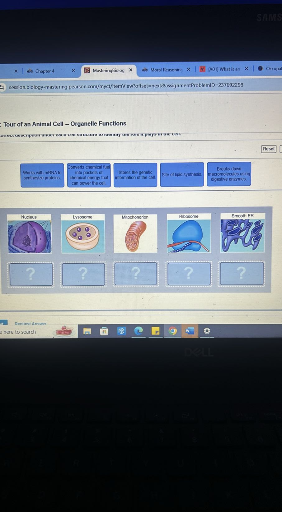 nso Chapter 4 MasteringBiolog Moral Reasoning [A01] What is an Occupal ...