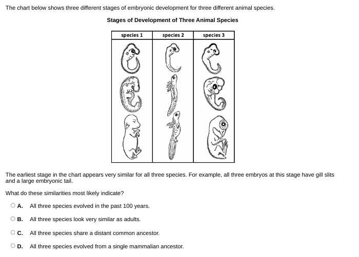 The chart below shows three different stages of embryonic development ...