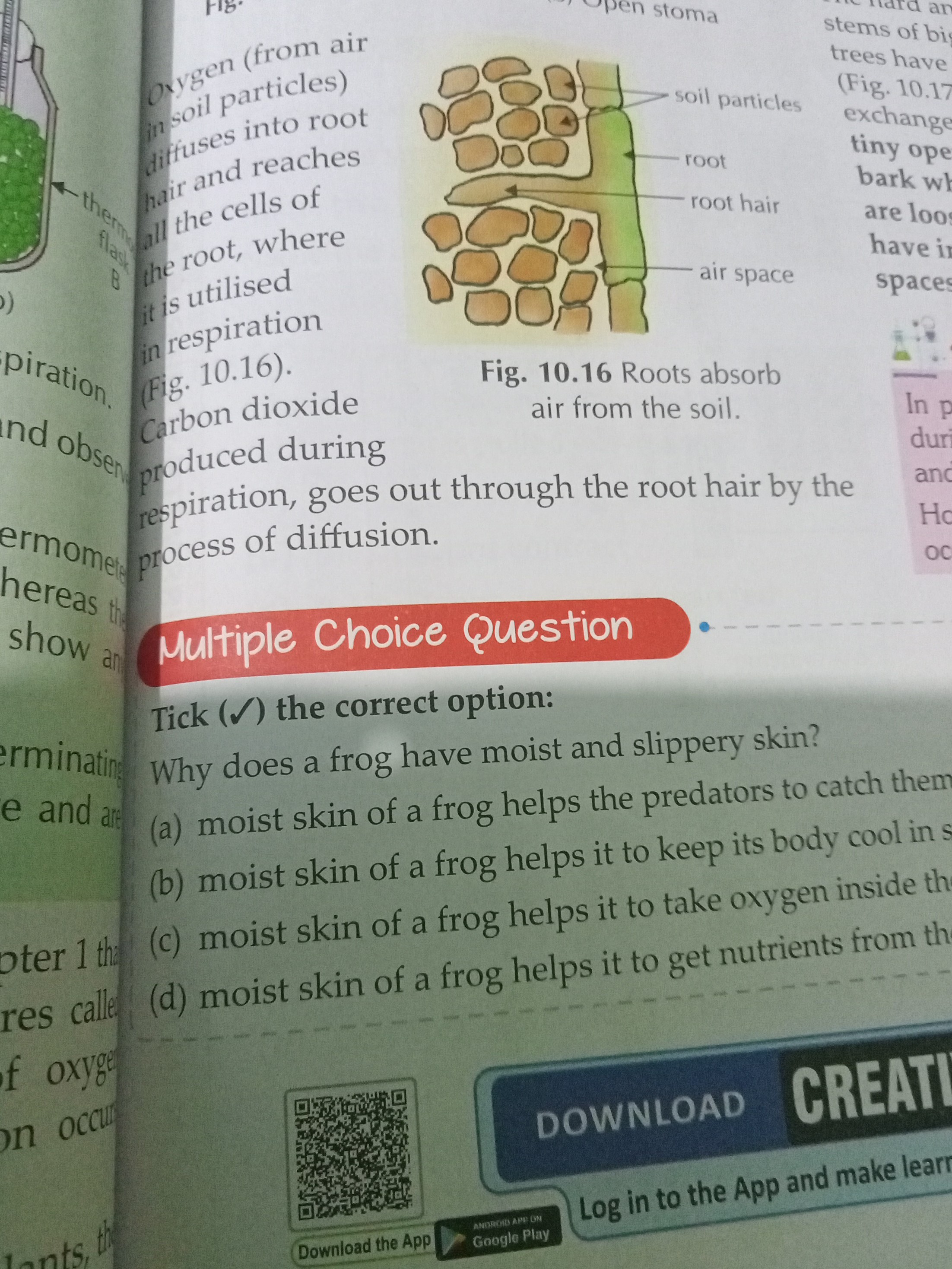 il (from air fuses into ir and reach the cells of Fig. 10.16 Roots ...