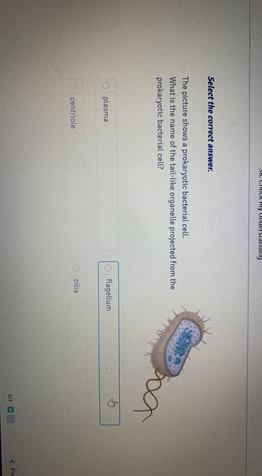 Select the correct answer. The picture shows a prokaryotic bacterial ...