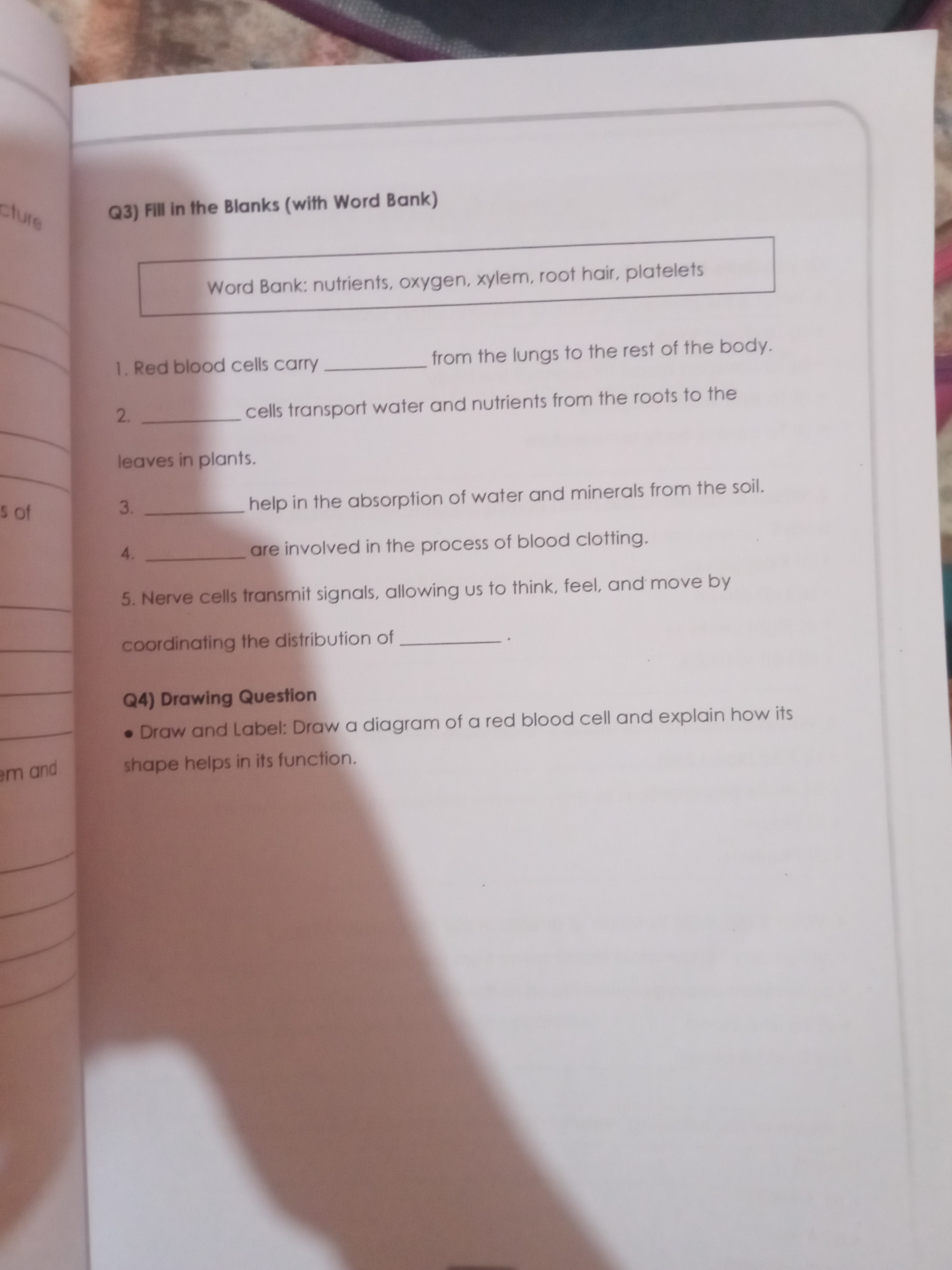 Q3) Fill in the Blanks (with Word Bank) Word Bank: nutrients, oxygen ...