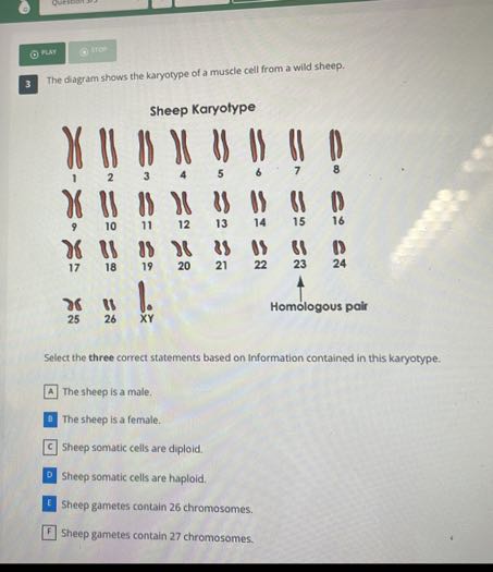 Mess 1 OH 3 The diagram shows the karyotype of a muscle cell from a ...
