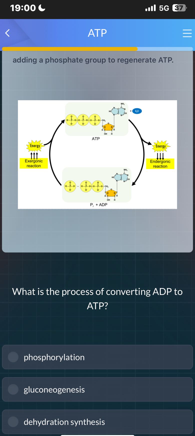 19:00 C 5G 37 ATP adding a phosphate group to regenerate ATP. What is ...