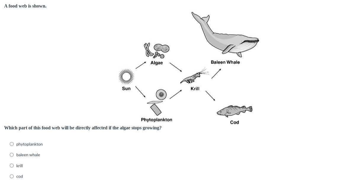 A food web is shown. Which part of this food web will be directly ...