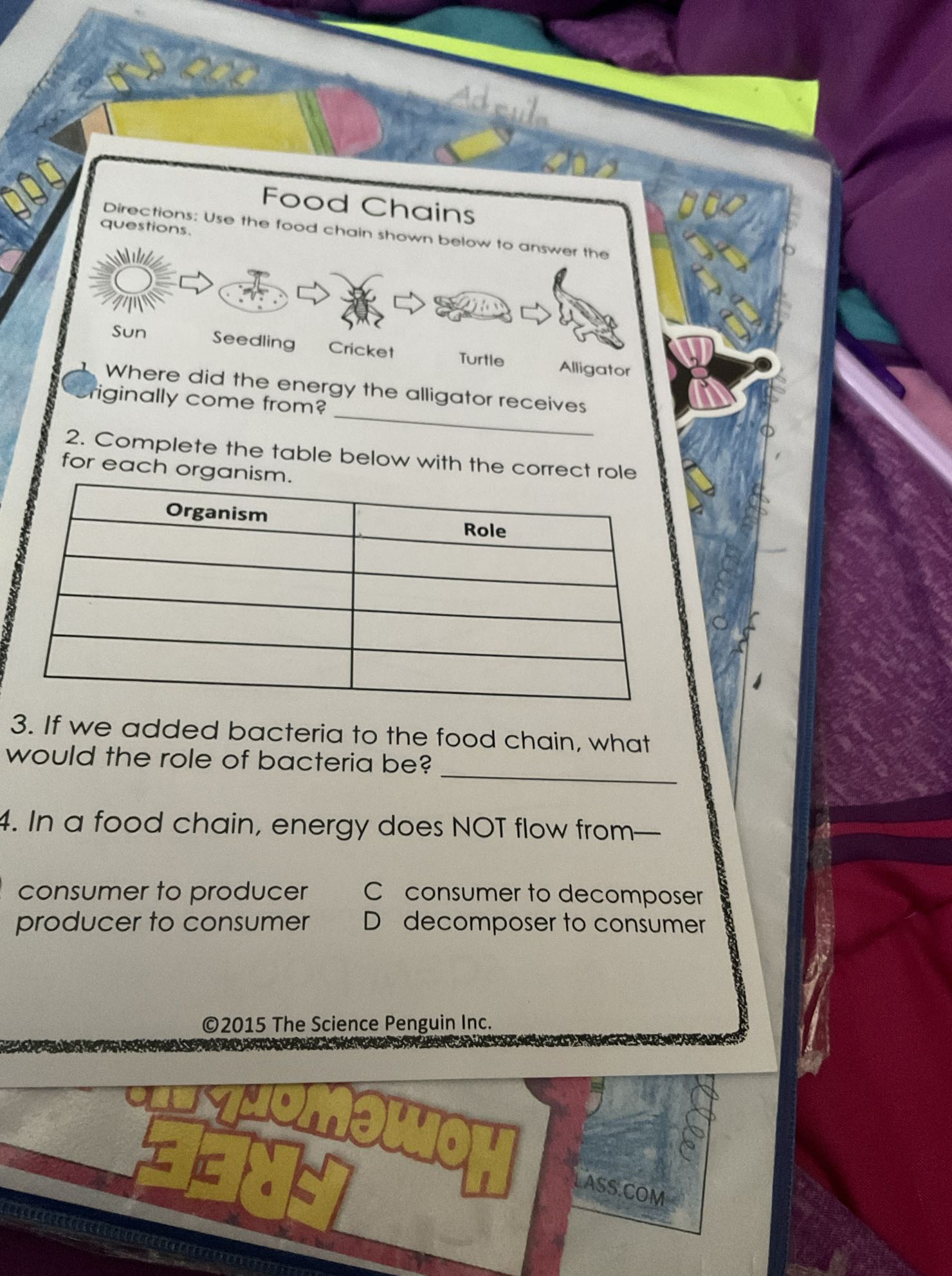 Food Chains Directions: Use the food chain shown below to answer the ...