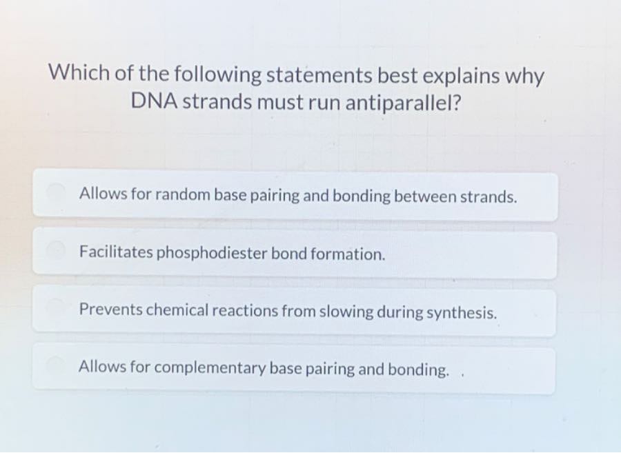 Which of the following statements best explains why DNA strands must ...
