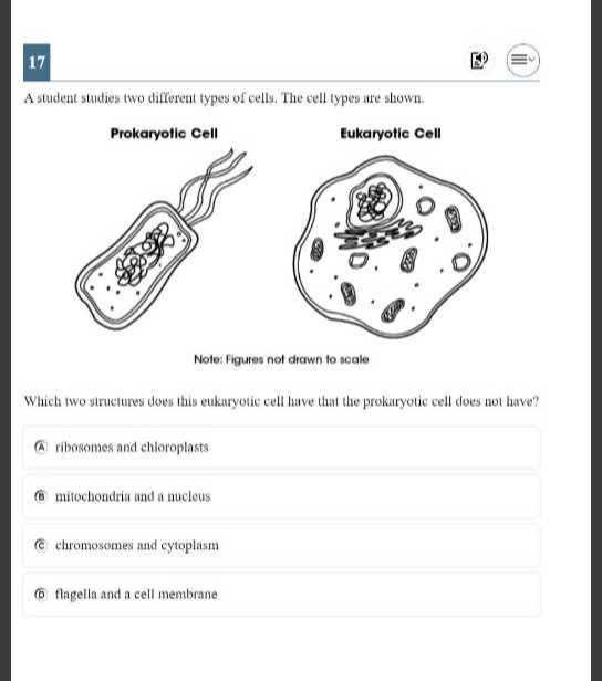 17 a student studies two different types of cells the cell types ure shown prokaryotic cell ...