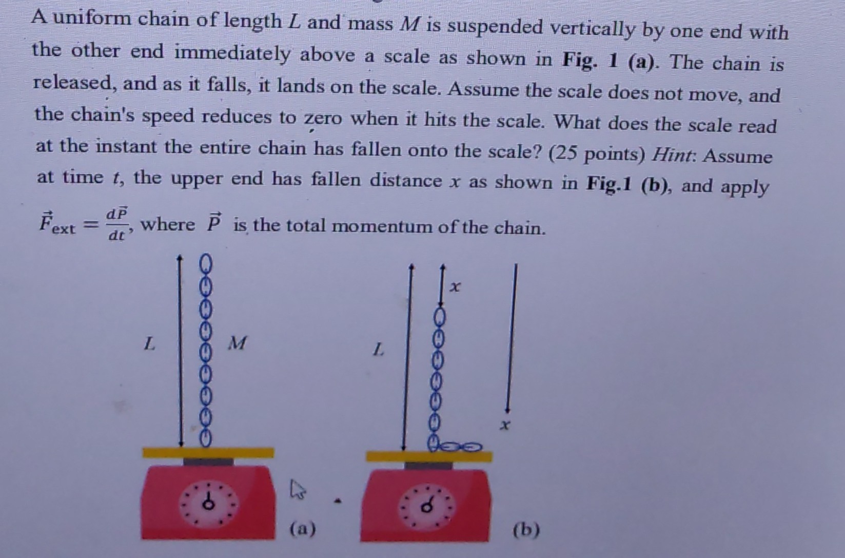 a uniform chain of length l and mass m is suspended vertically by one ...