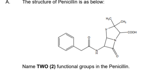 A. The structure of Penicillin is as below: Name TWO (2) functional ...