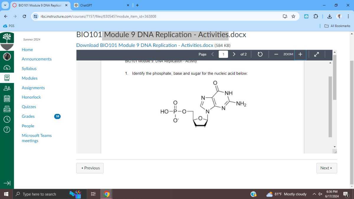 BIO101 Module 9 DNA Replica: ChatGPT rbcinstructure.com/courses/7157 ...