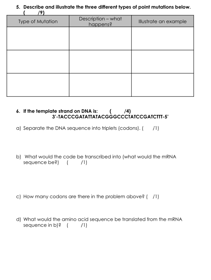 5. Describe and illustrate the three different types of point mutations ...