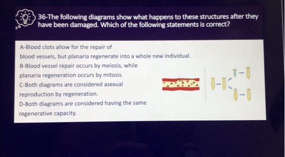 36-The following diagrams show what happens to these structures after they have been damaged ...