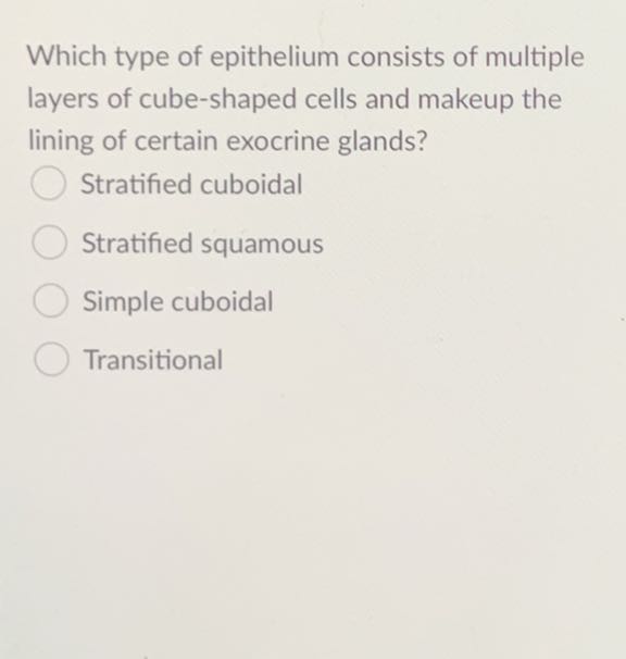 Which type of epithelium consists of multiple layers of...