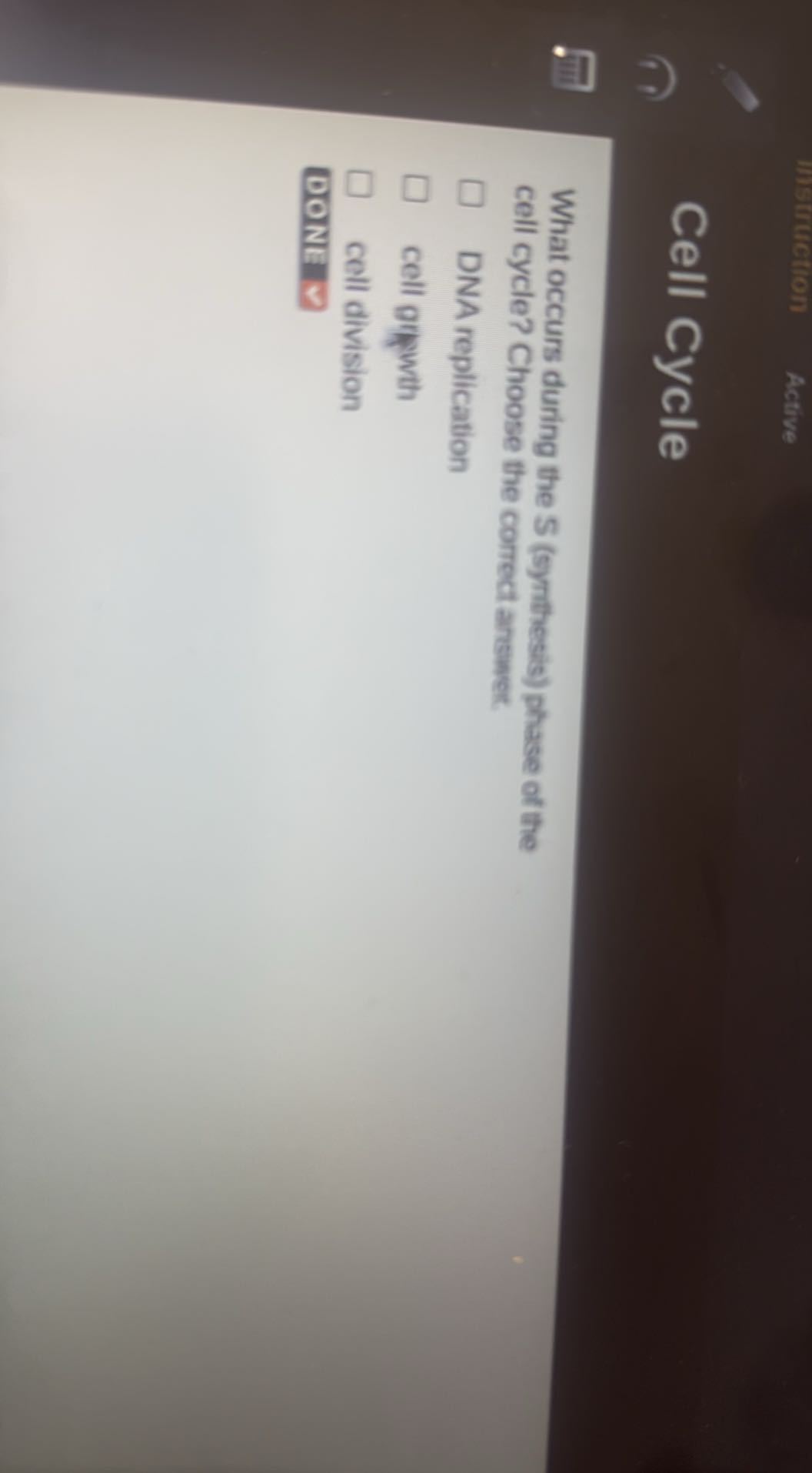 Instruction Active Cell Cycle What occurs during the S (symthesis ...