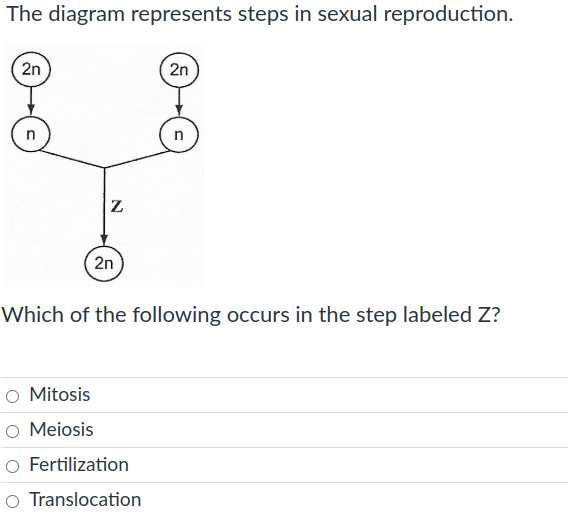 The diagram represents steps in sexual reproduction. Which of the ...