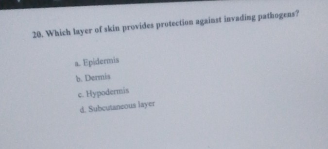 20. Which layer of skin provides protection against invading pathogens ...