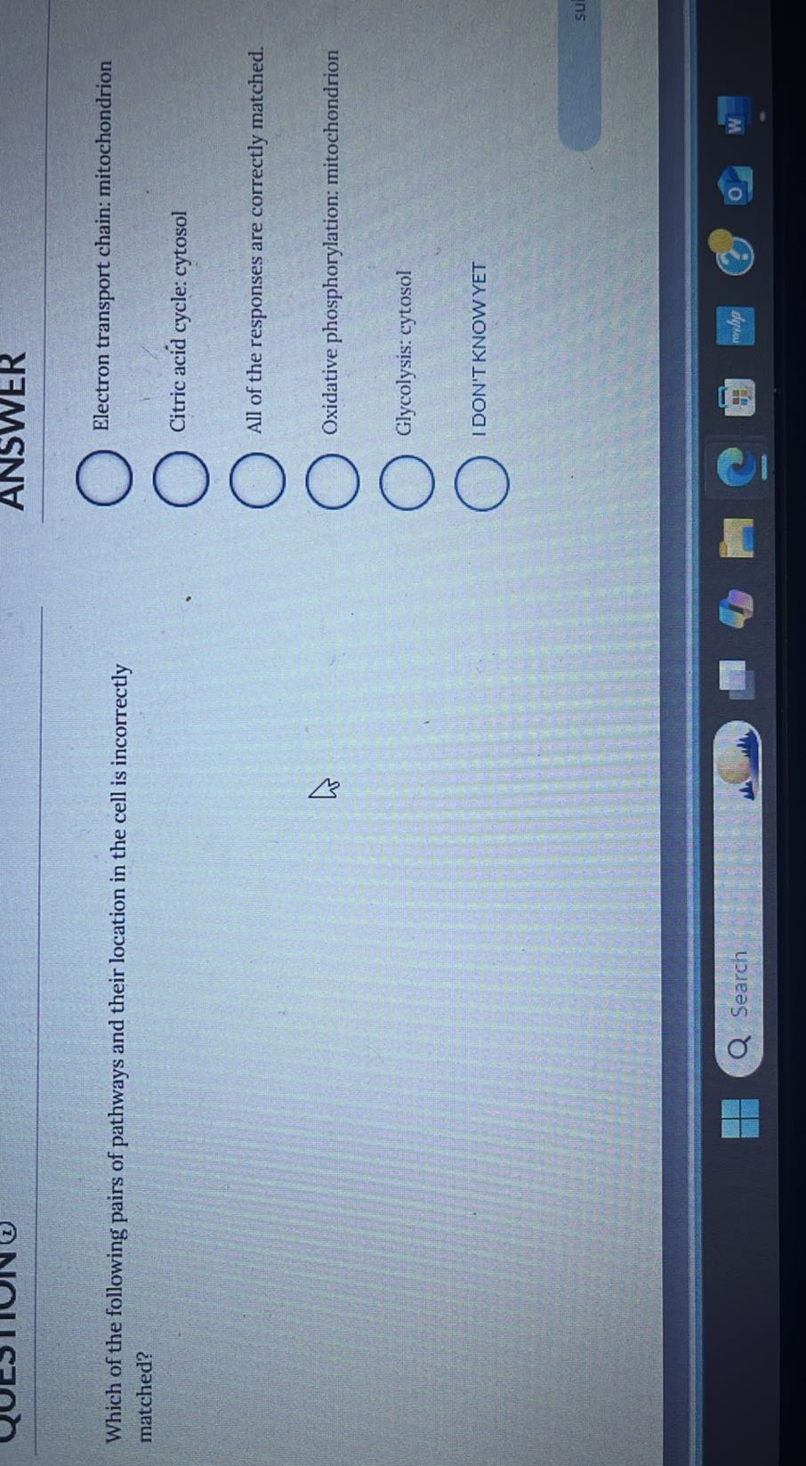 which of the following pairs of pathways and their location in the cell ...