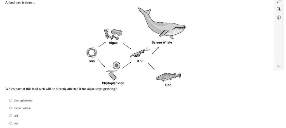 A food web is shown. Which part of this food web will be directly ...