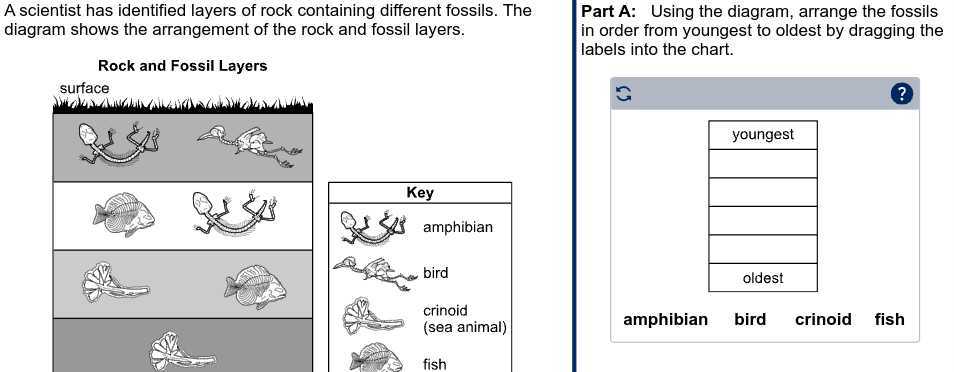 A scientist has identified layers of rock containing different fossils ...