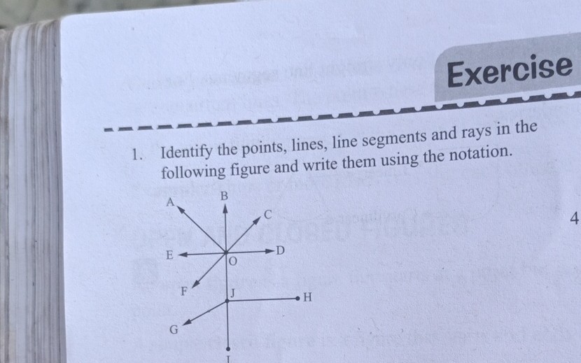 Exercise 1. Identify the points, lines, line segments and rays in the following figure and write ...