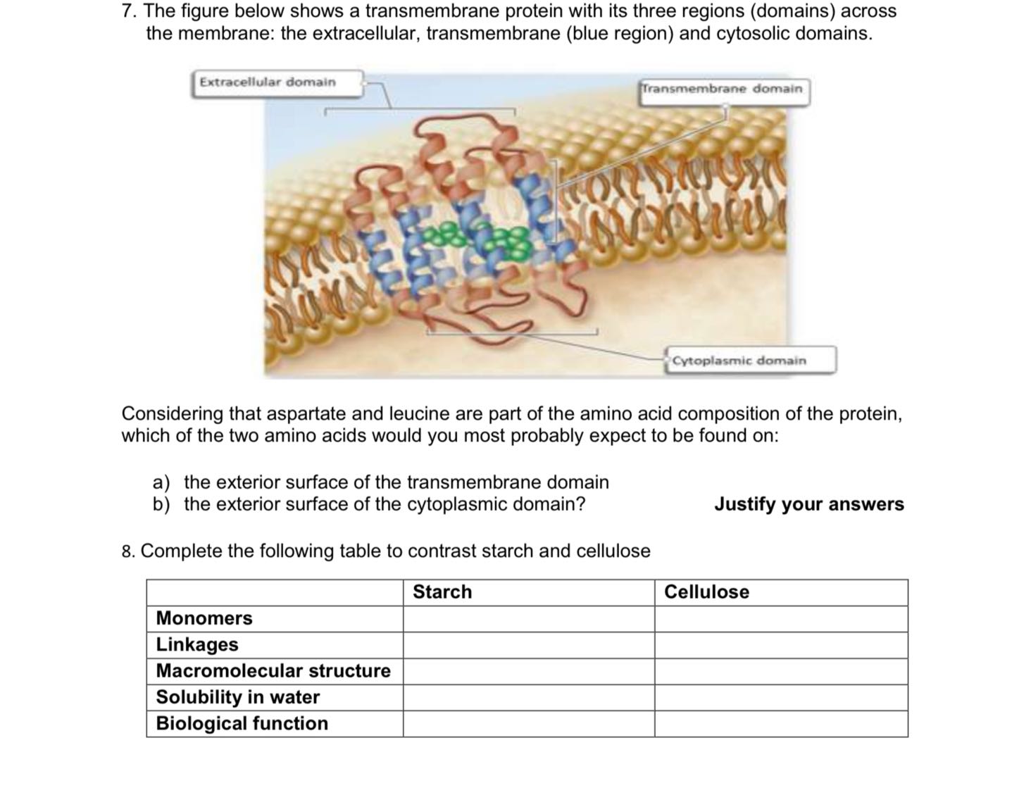 7. The figure below shows a transmembrane protein with its three ...